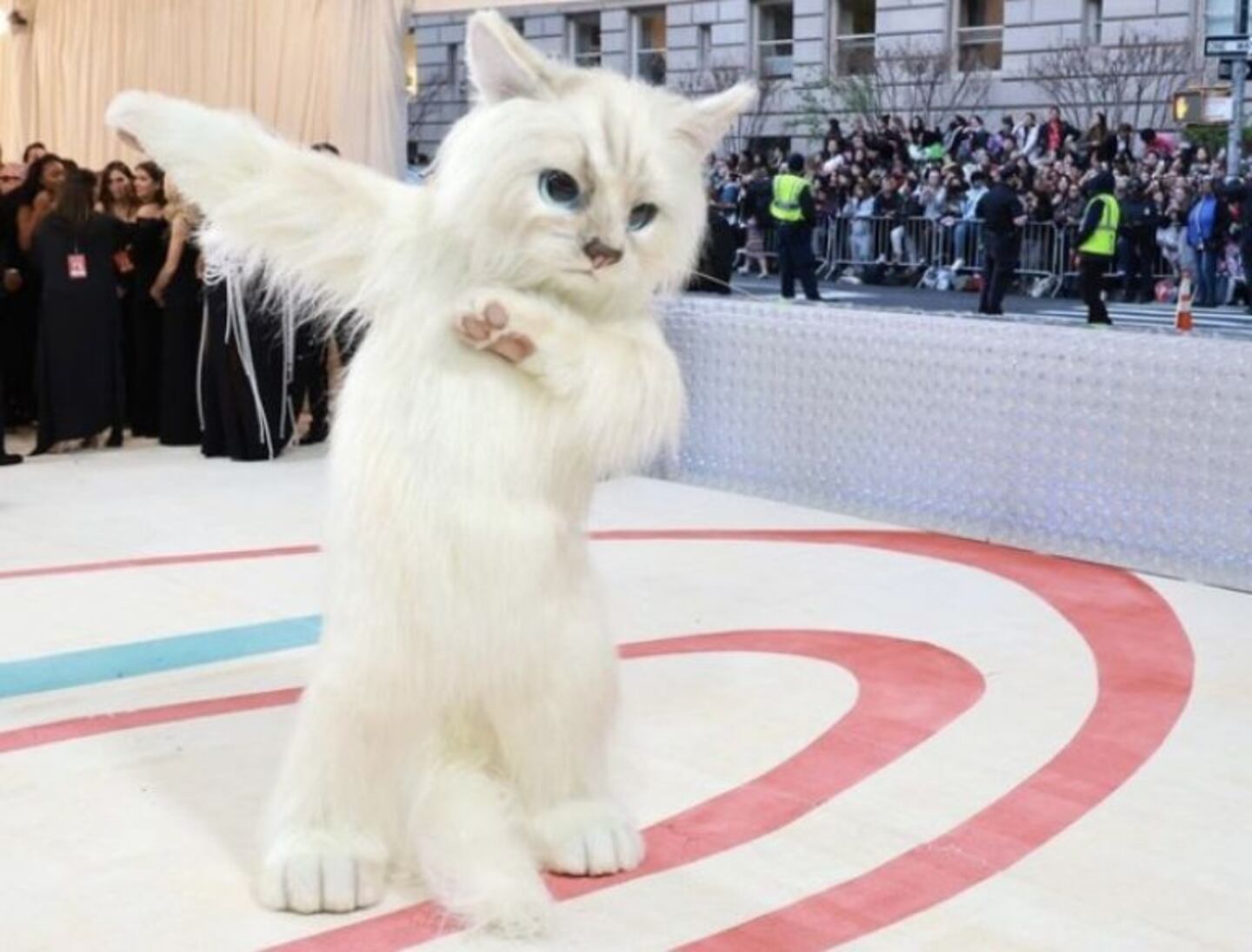 Jared Leto comparte en redes sociales su transformación de gato en la ...